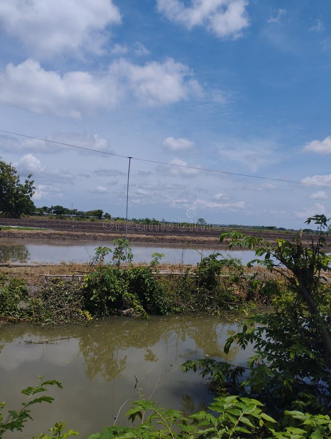 Earthen Ponds for Freshwater Fish Farming Stock Image - Image of ponds ...