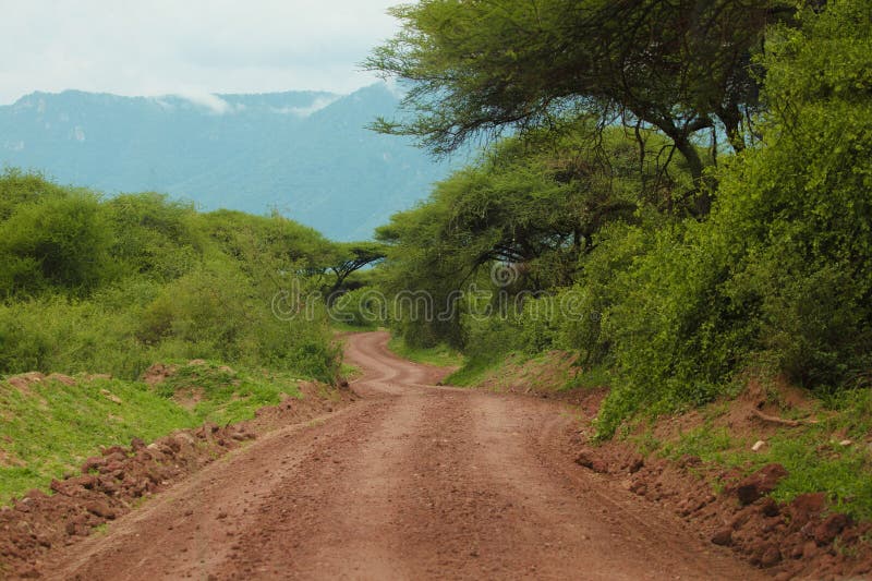 Earthen Road in African Forest. Clay Soil Stock Image - Image of ...