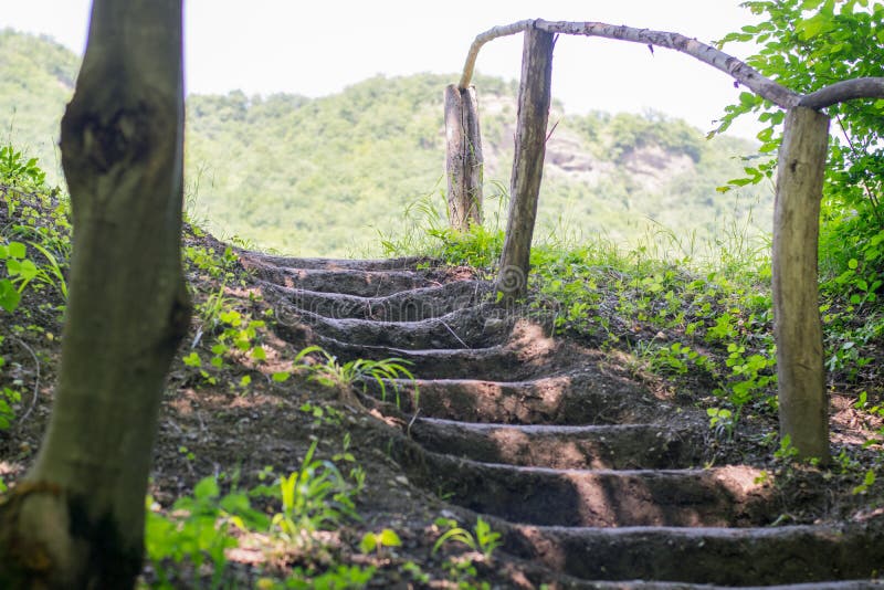 Earthen stairs stock photo. Image of landscape, walk - 97036472