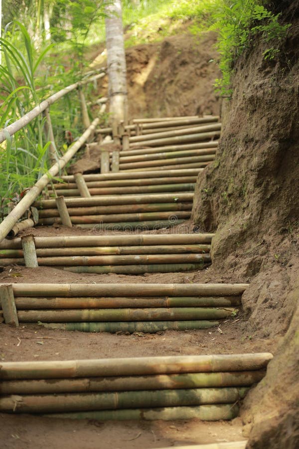 Earthen Steps with Bamboo Supports on Jungle Trail Stock Image - Image ...