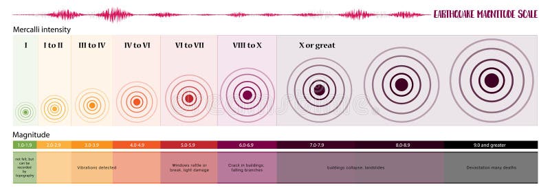 Earthquake Magnitude Levels Vector Illustration Diagram Earthquake