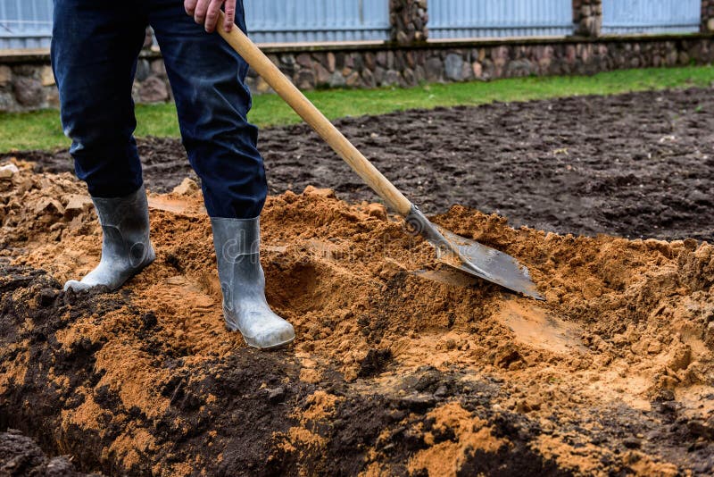 Earthworks, Man Digging Trench Using Shovel. Stock Photo - Image of ...