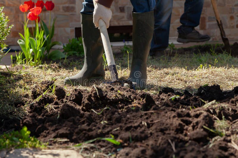 Two People are Digging Earthen Plot in Front of House Stock Photo ...