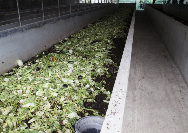 Earthworm farm stock image. Image of fruit, growing, animal - 42434191