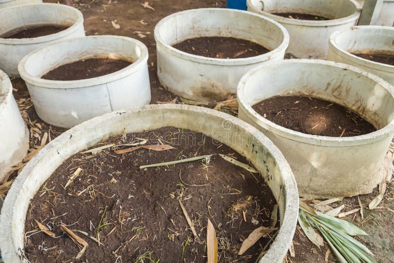Earthworm Farm is Turning the Organic Kitchen Waste into Nutrient-rich ...