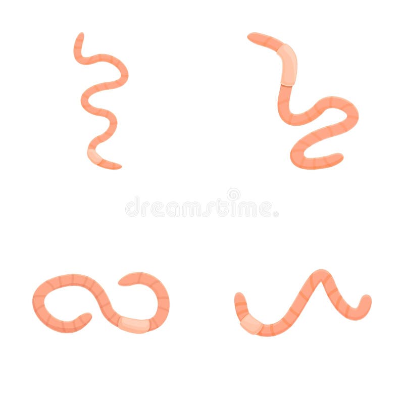 Earthworm Icons Set Cartoon Vector. Amusing Adorable Earthworm Stock ...