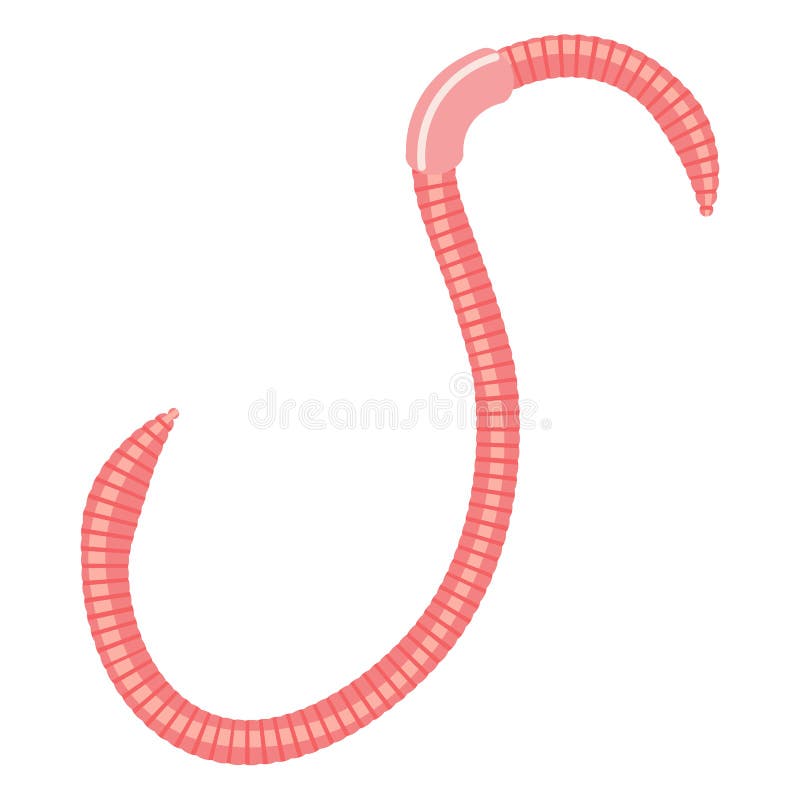 Earthworm Stock Illustrations – 4,555 Earthworm Stock Illustrations ...
