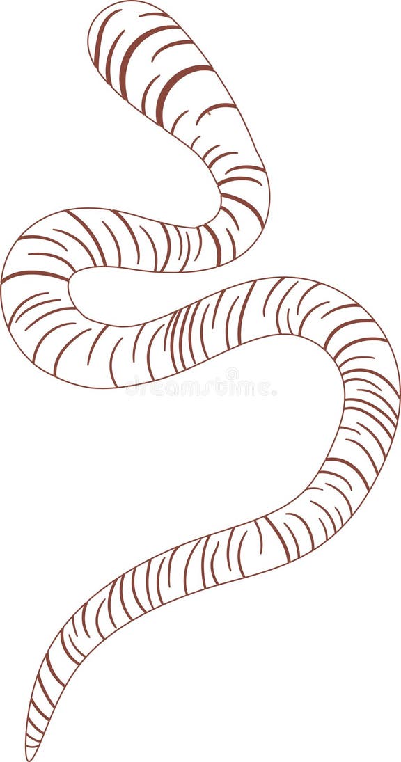Earthworm Outline stock vector. Illustration of insects - 255524585