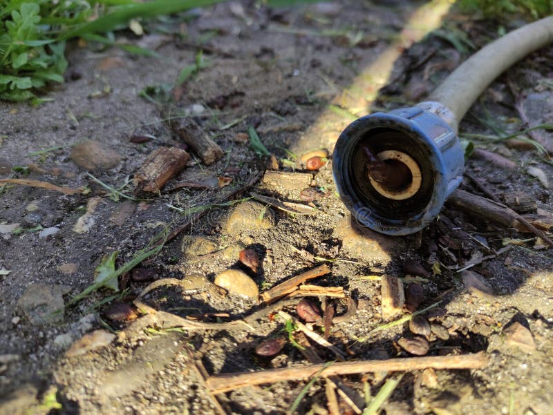 306 Messy Hose Stock Photos - Free & Royalty-Free Stock Photos from ...