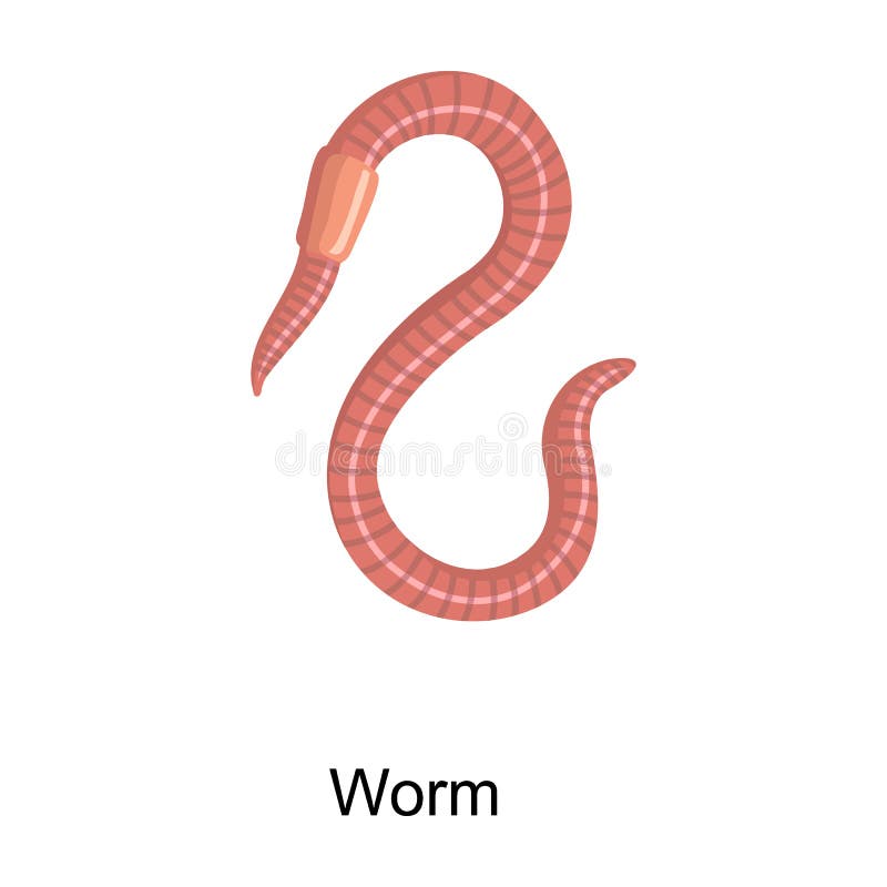 Cartoon Tapeworm Stock Illustrations – 79 Cartoon Tapeworm Stock ...