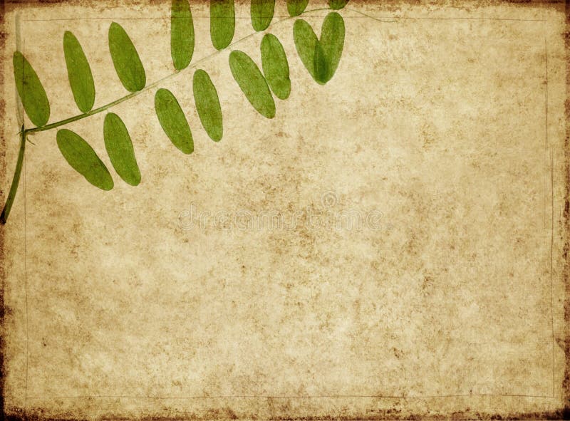 Earthy background image stock illustration. Illustration of brush - 9244381