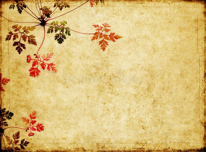 Earthy background image stock illustration. Illustration of leaves ...