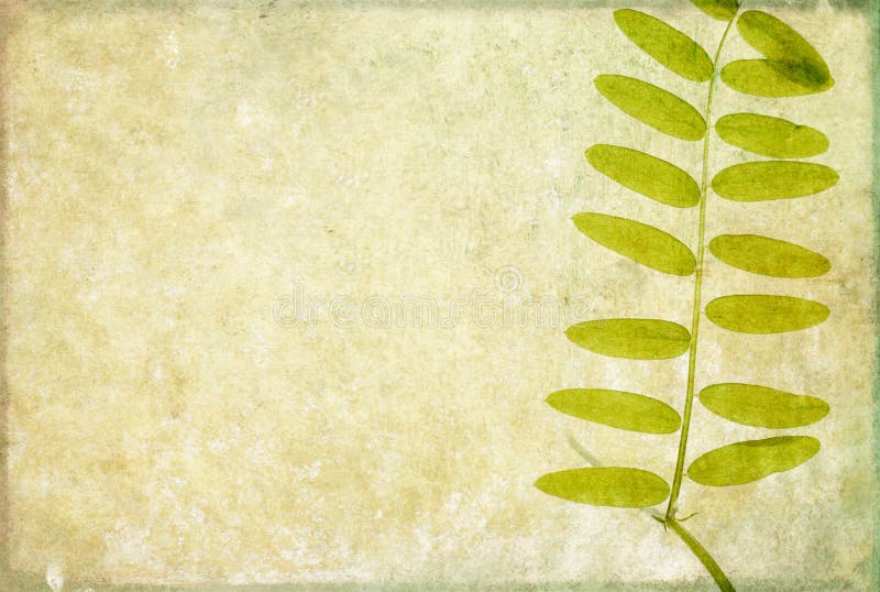 Earthy background image stock illustration. Illustration of backdrop ...
