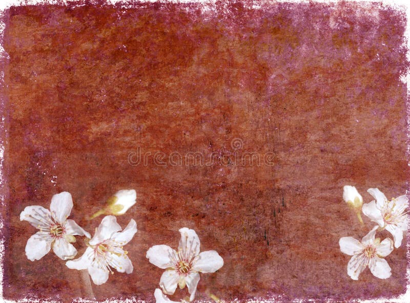 Earthy background image stock illustration. Illustration of leaves ...