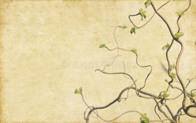 Earthy background image stock illustration. Illustration of leaves ...