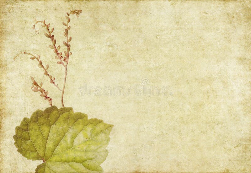 Earthy floral background stock illustration. Illustration of digital ...