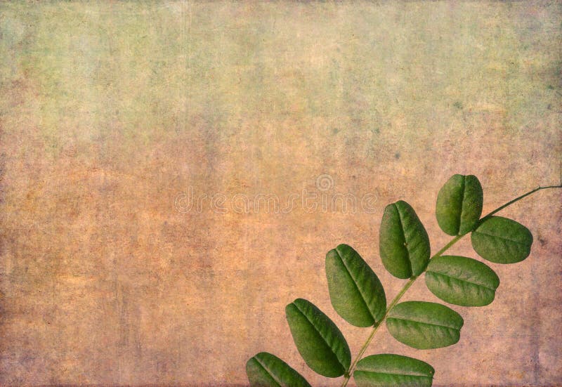 Earthy floral background stock illustration. Illustration of flora ...