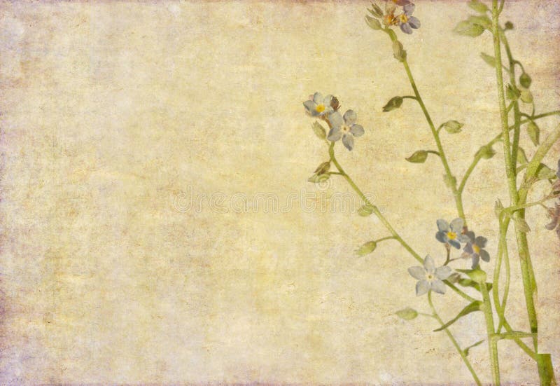 Earthy floral art stock illustration. Illustration of khaki - 562280