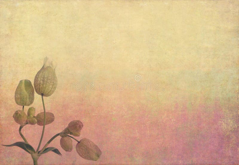 Earthy floral background stock illustration. Illustration of backdrop ...