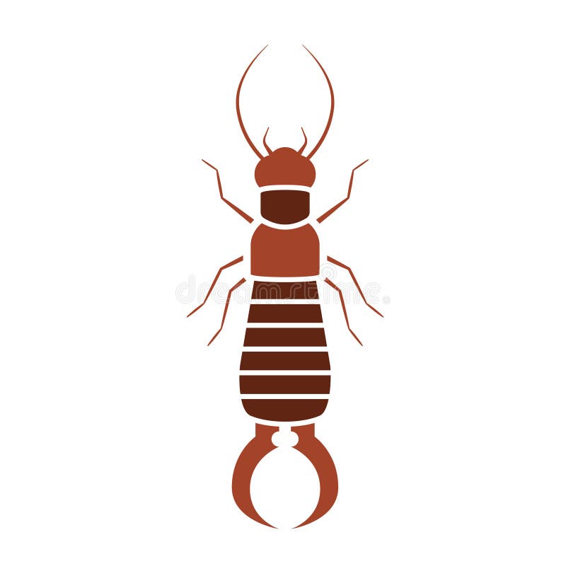 Earwig Stock Illustrations – 1,609 Earwig Stock Illustrations, Vectors ...