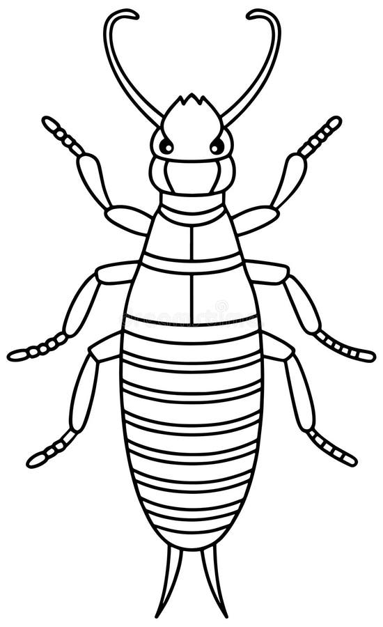Earwig Stock Illustrations – 1,592 Earwig Stock Illustrations, Vectors ...