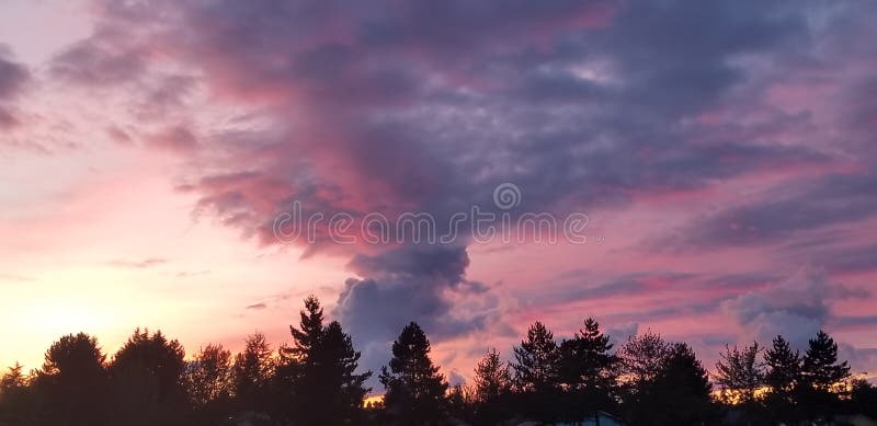 Easing into Fall stock image. Image of fall, easing - 160655409