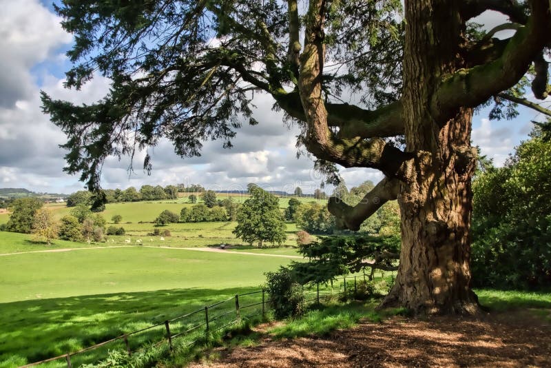 East Devon Landscape stock photo. Image of sep2014, trees - 44890980
