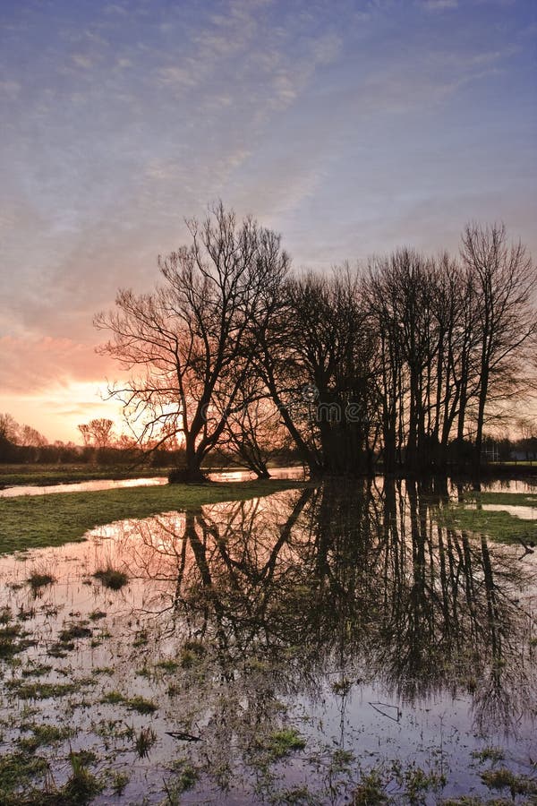 Harnham water meadows stock photo. Image of isles, meadows - 36734314