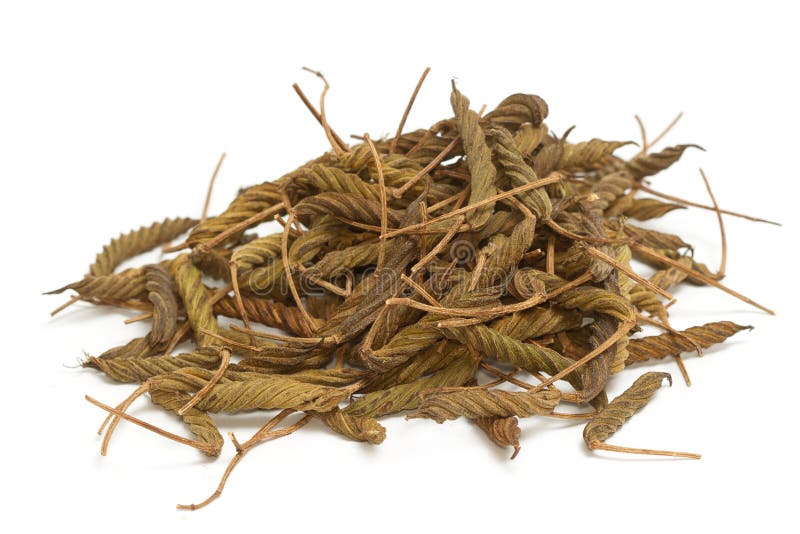 Muskroot, Indian Spikenard (Jatamanshi) Stock Image - Image of indian ...