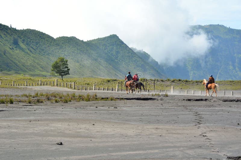 East Java, Indonesia - May 12, 2016 : Unidentified Horse Riders for ...