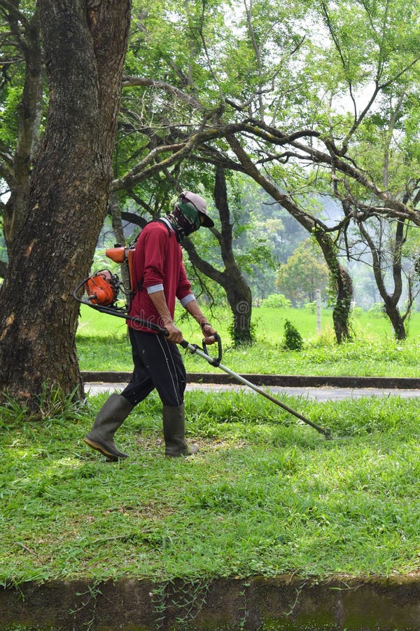 Mowing the Grass with a Lawn Mower. Garden Work Concept Background ...