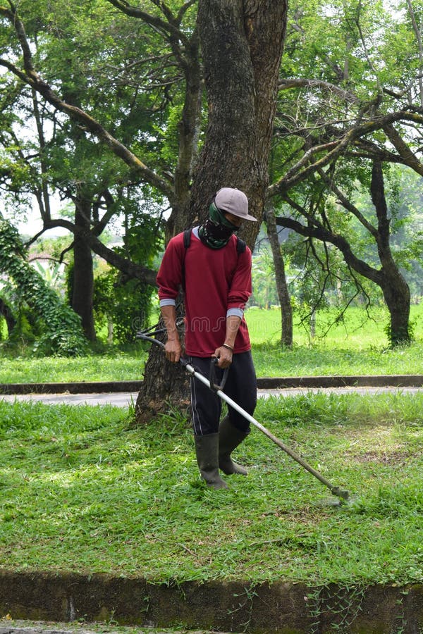 Mowing the Grass with a Lawn Mower. Garden Work Concept Background ...