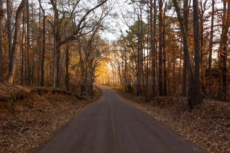 East Texas Backroad in the Fall Stock Photo - Image of back, winding ...