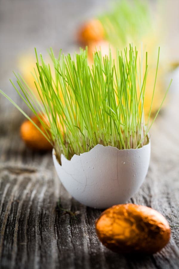 Easter stock image. Image of happy, color, grass, small - 12396259