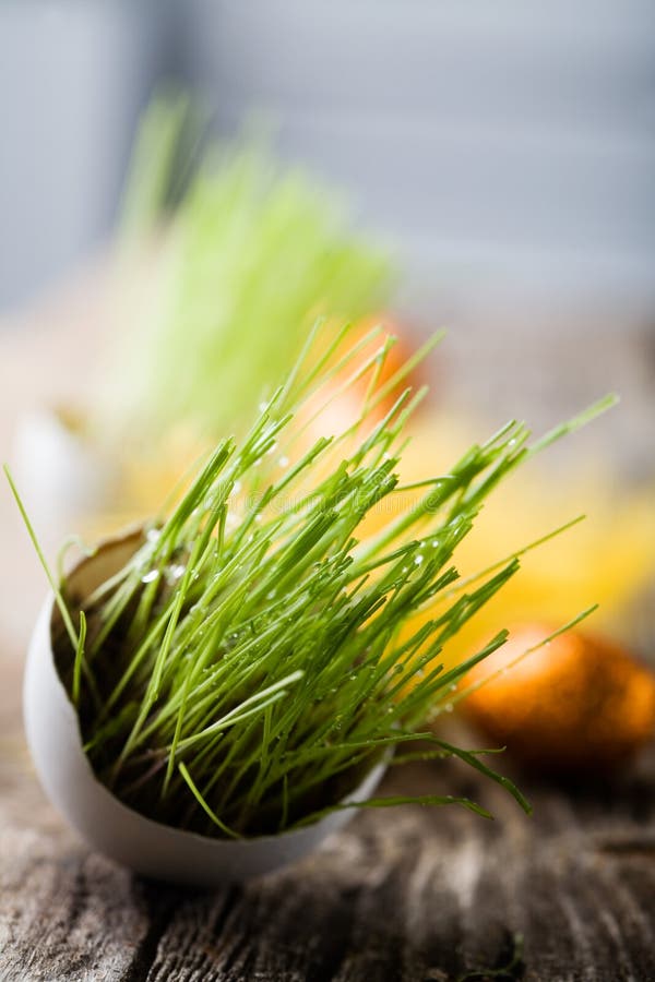 Natural Easter Eggs with Microgreen on Wooden Table. Happy Easter ...