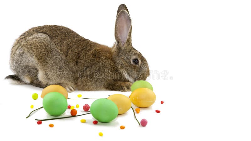 Easter Background, Gray Easter Bunny on the Background of Multicolored ...