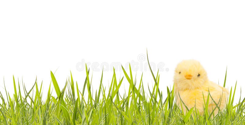 Easter baby stock image. Image of race, mixed, child - 37611683