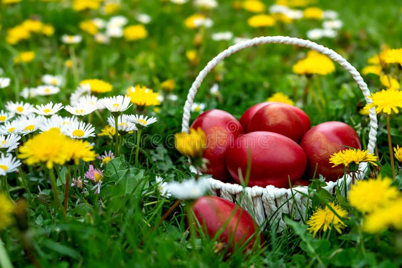 Easter Basket with Eggs on Spring Field Stock Photo - Image of ...