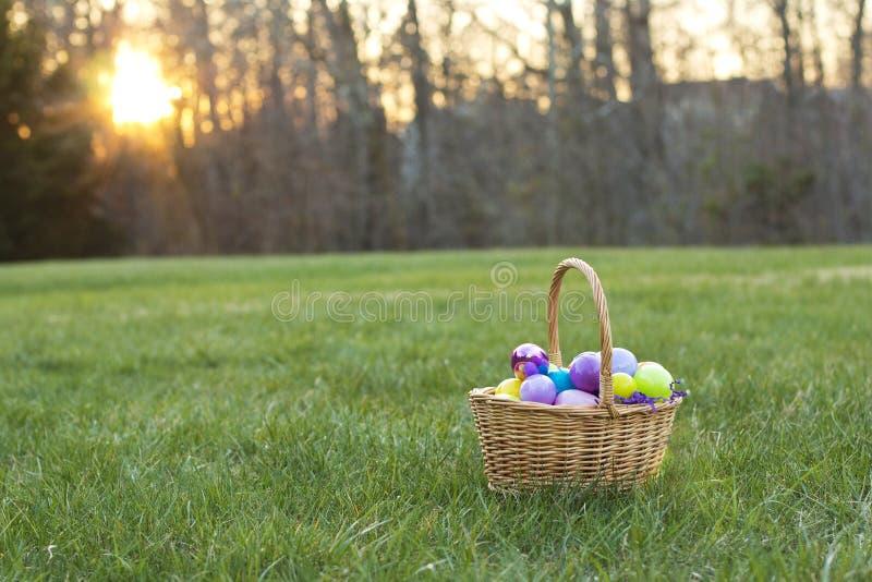 Easter Basket Full of Eggs in a Field Stock Photo - Image of small ...