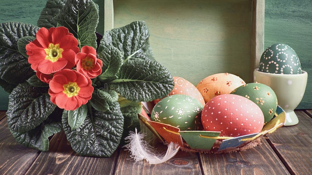 Easter Basket with Painted Easter Eggs and Red Primrose Pot Flow Stock ...