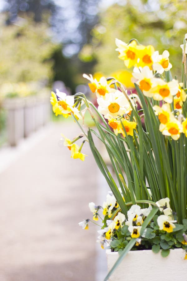 Easter Bells Against Blurred Background Stock Image - Image of blossoms ...