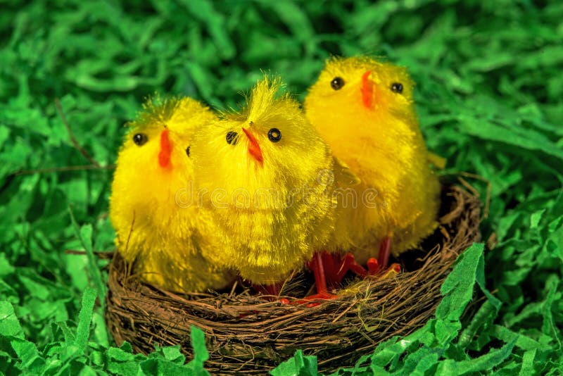 Biddies Plaza Stock Photos - Free & Royalty-Free Stock Photos from ...