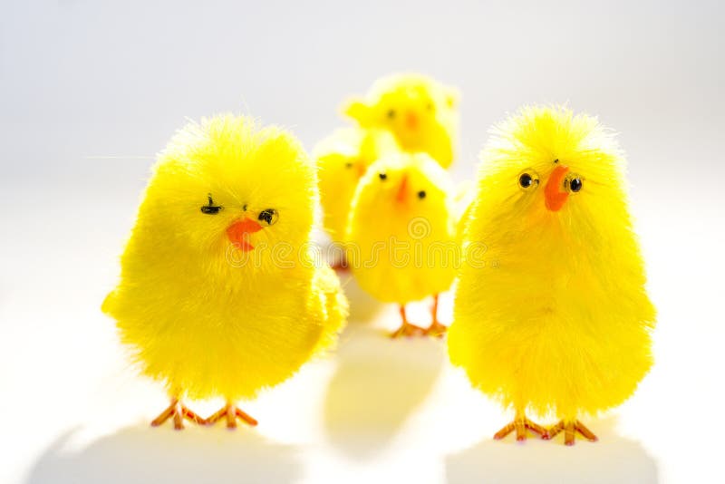 Biddies Plaza Stock Photos - Free & Royalty-Free Stock Photos from ...