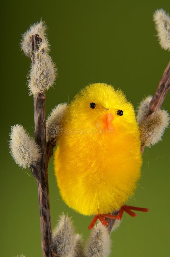 Easter Bird and Flower Shaped Cookies Stock Photo - Image of festive ...