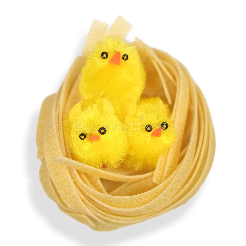 Easter Bird in Tagliatelle Pasta. Stock Image - Image of pastry, birds ...