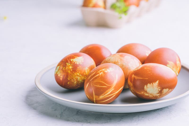 Natural Dyed Easter Eggs with Onion Shells and Springtime Plants Stock ...