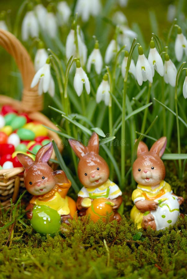 Easter bunny stock image. Image of eggs, bunny, property - 17141815