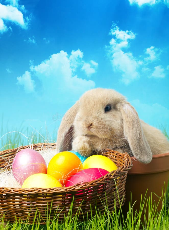 Easter Scene With Colored Eggs, Easter Bunny,, White Background Stock ...