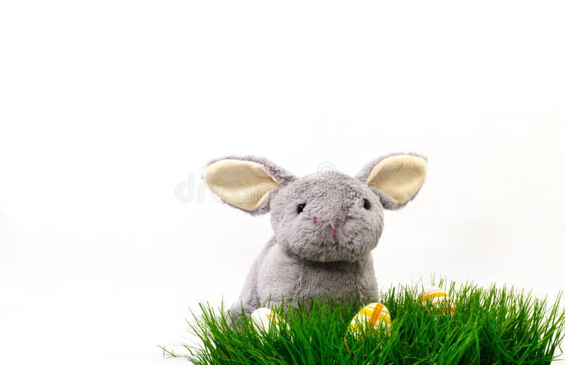 Easter bunny stock photo. Image of colorful, bunny, easter - 38221684