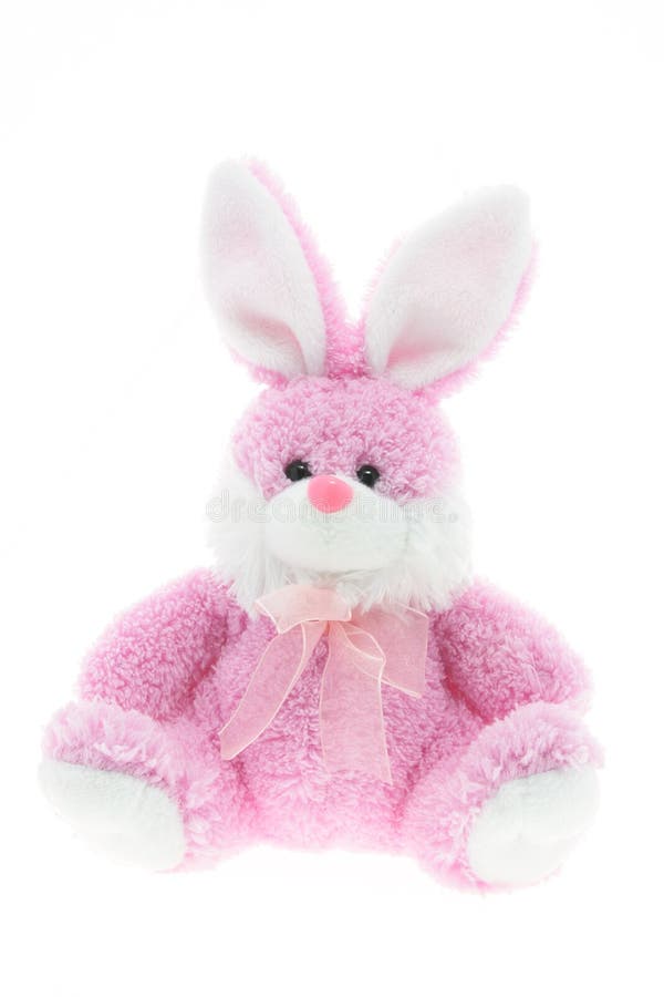 Easter Pink Bunny Ears Isolated on White Stock Image - Image of ...
